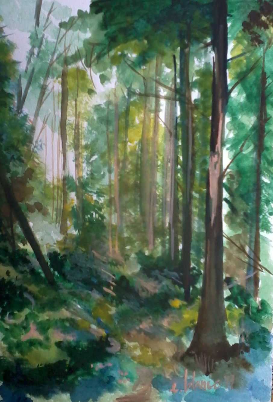 Landscapes – Emma Blanco